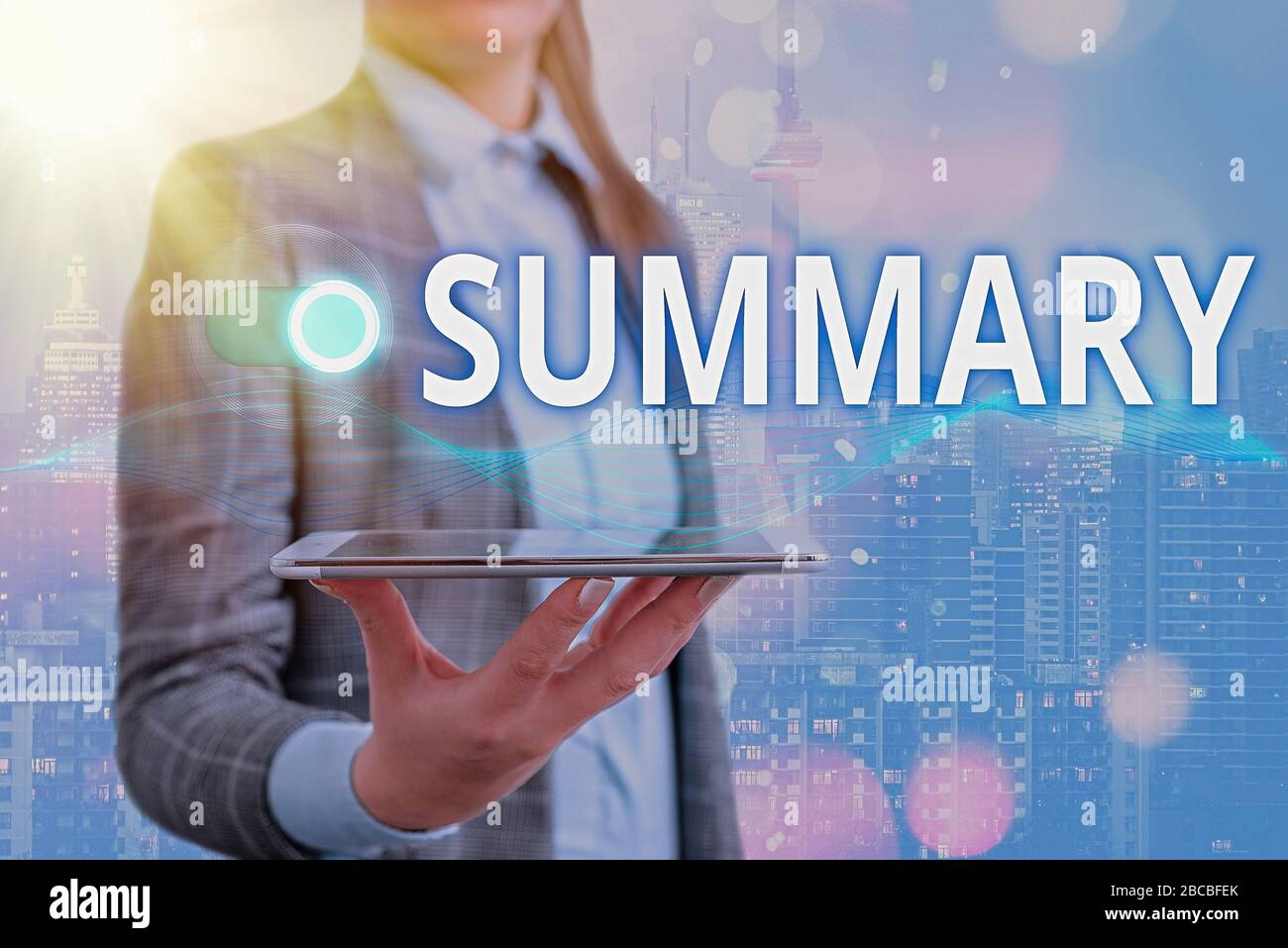 Text sign showing Summary. Business photo showcasing a brief statement ...