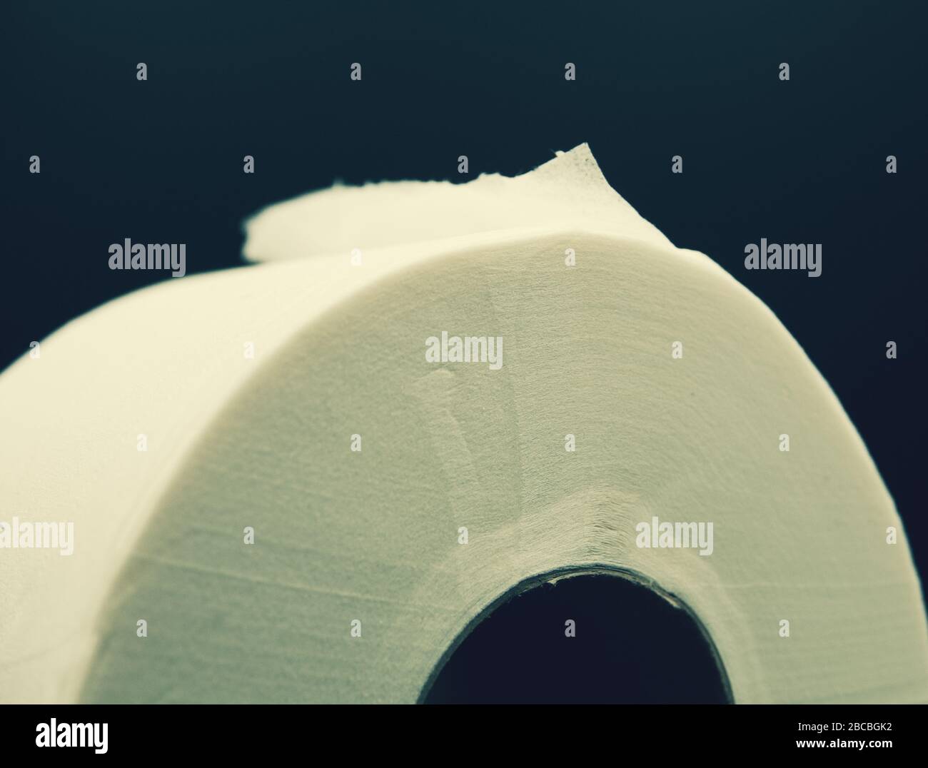 a close up of a single toilet paper roll Stock Photo - Alamy