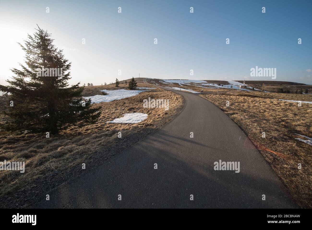evening landscape in southern Germany on the Feldberg 1493m. the ...