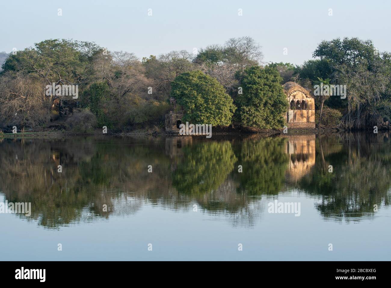 ranthambore landscape and scenery of hunting palace with reflection in ...