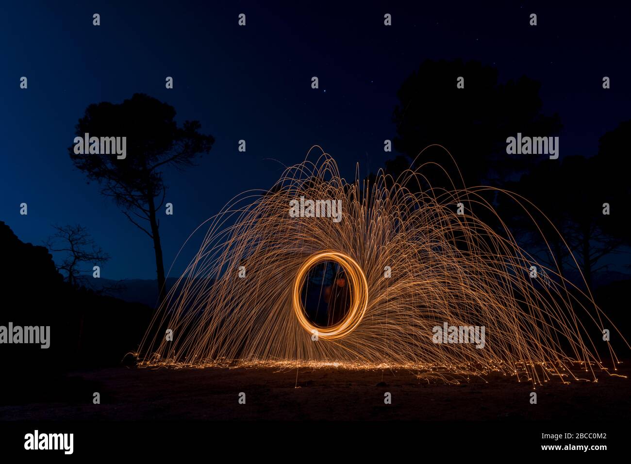Light painting forest hi-res stock photography and images - Alamy