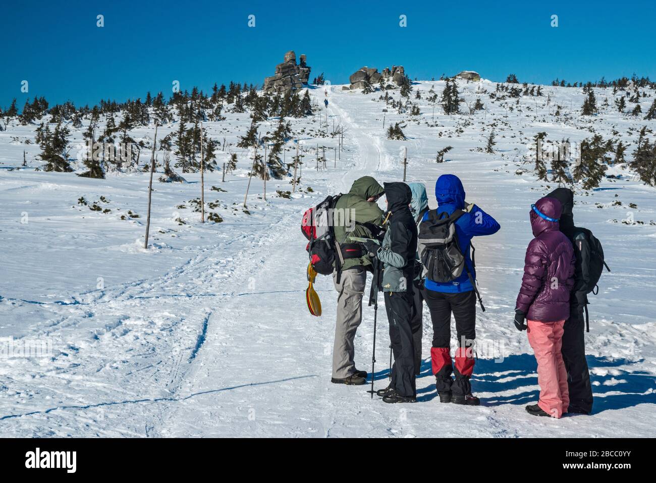 Hikers in winter on trail, running along Polish-Czech border, subalpine ...