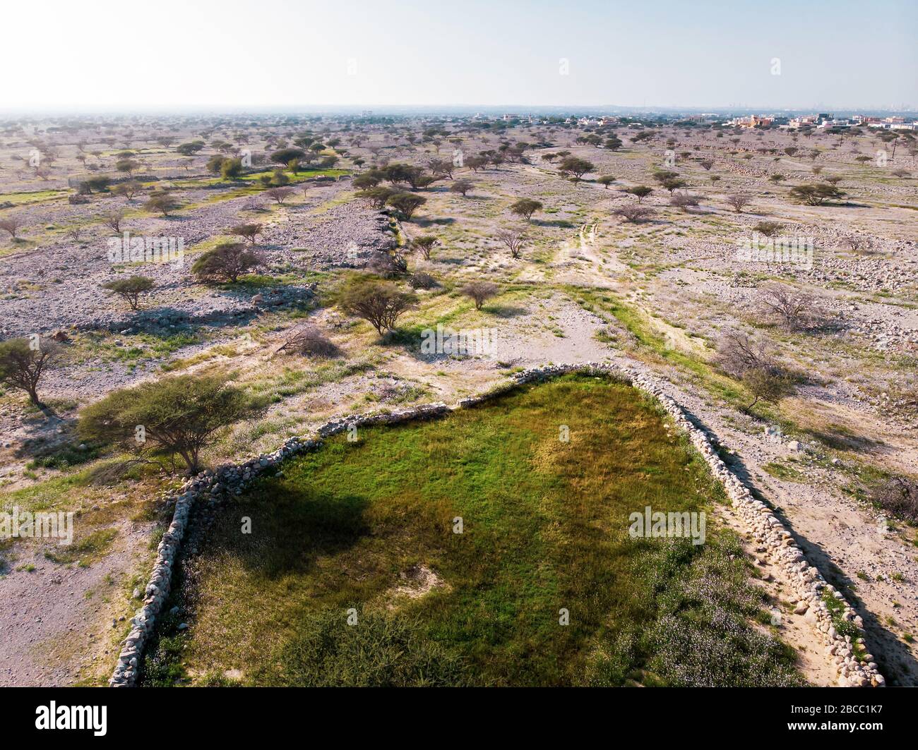 Desert landscape with small trees and dry land aerial view Stock Photo ...