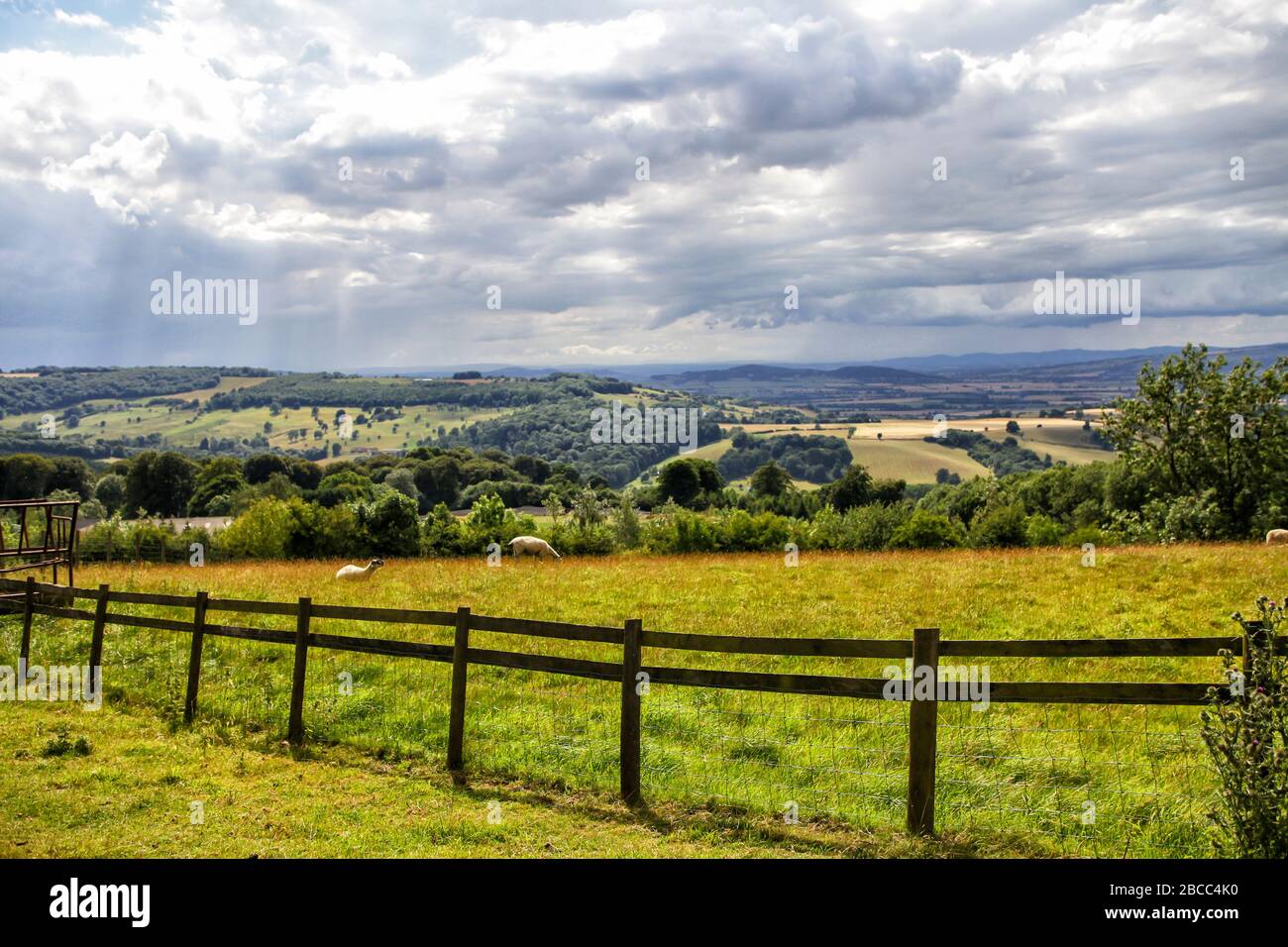 Beautiful rolling hills in the Cotswolds in England Stock Photo - Alamy