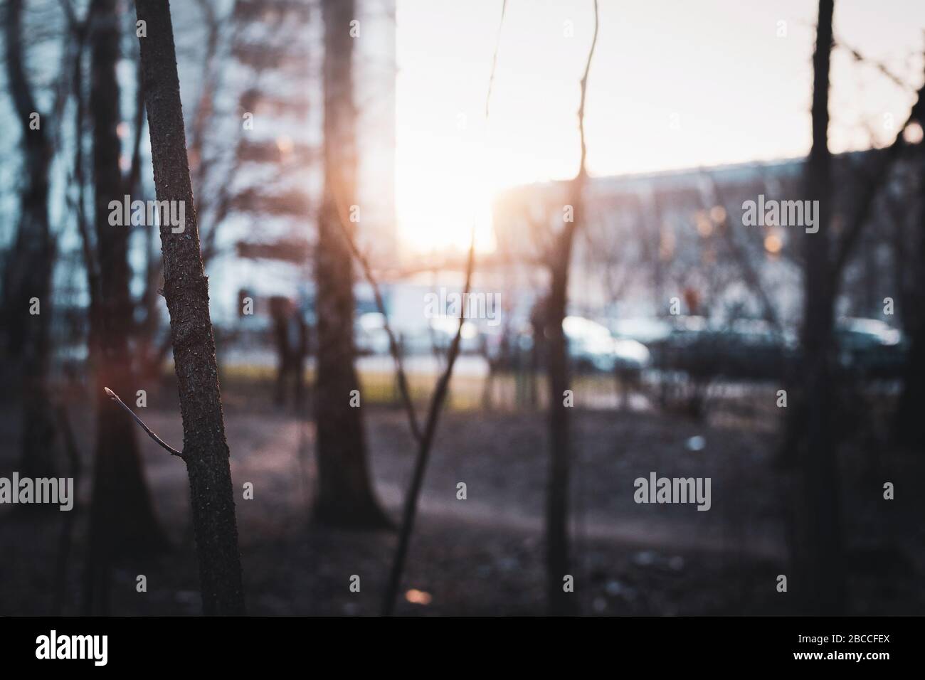 Silhouette in focus hi-res stock photography and images - Alamy