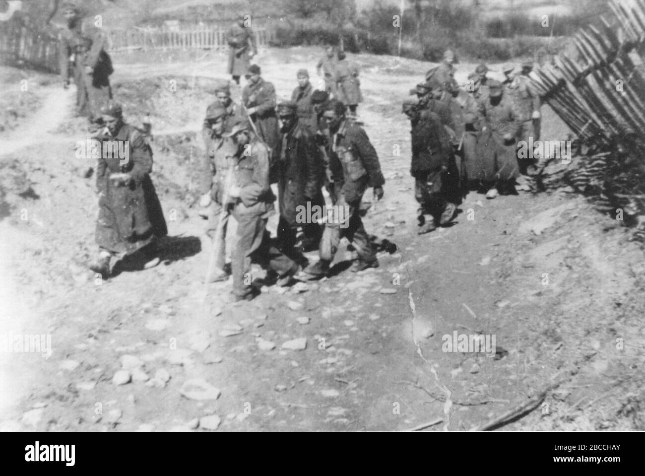 Ustase Black and White Stock Photos & Images - Alamy