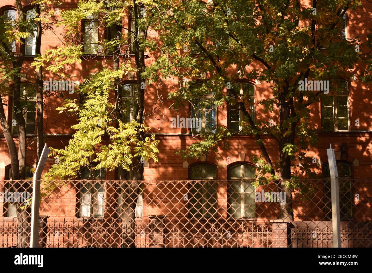 Fall trees in front of apartment building in Tempelhof Berlin Stock ...