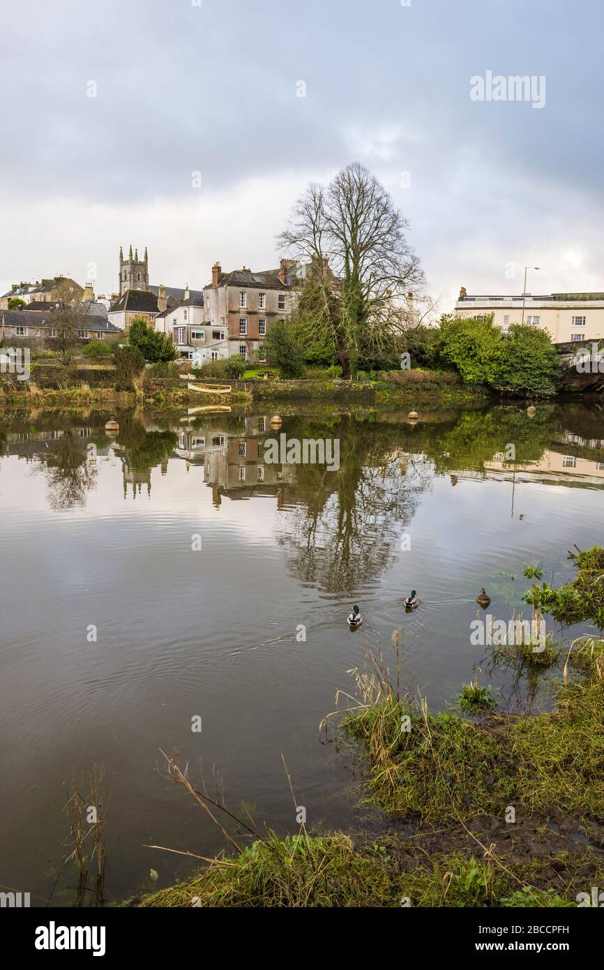 Totnes from across river dart hi-res stock photography and images - Alamy