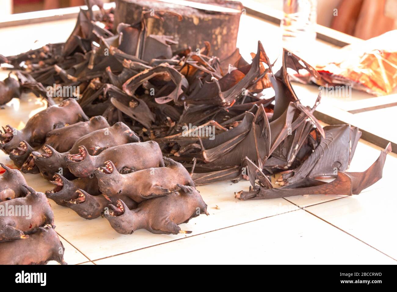 Bat eating snakes hi-res stock photography and images - Alamy