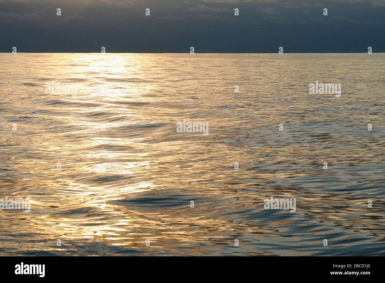Evening light on calm sea, North Atlantic Stock Photo - Alamy