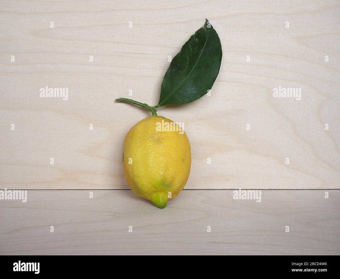 yellow lemon (Citrus x limon) fruit vegetarian food Stock Photo - Alamy