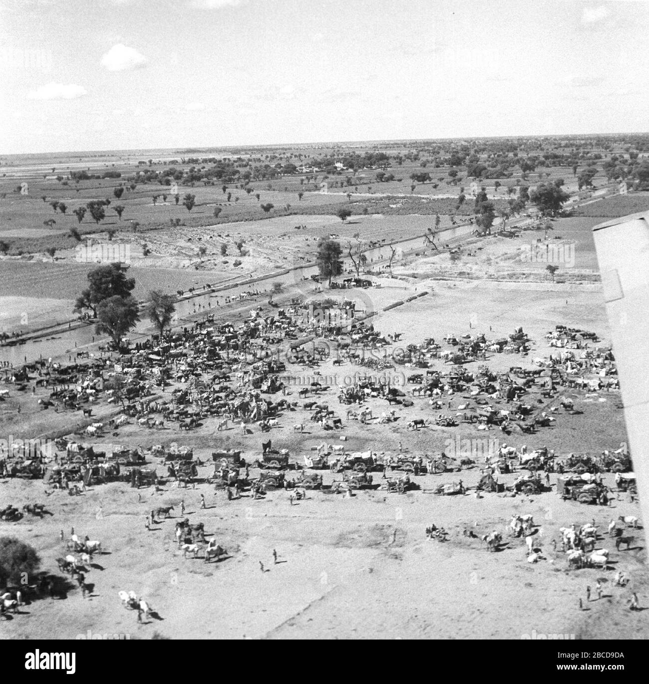 India 1947 refugees hi-res stock photography and images - Alamy
