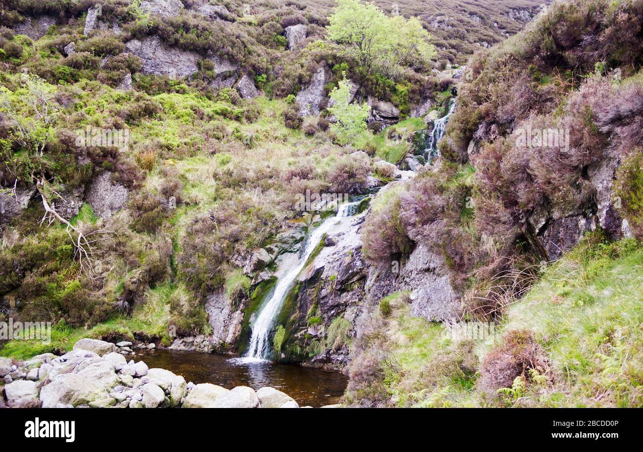 Stream falling down with cascades into a small pond on the mountain ...
