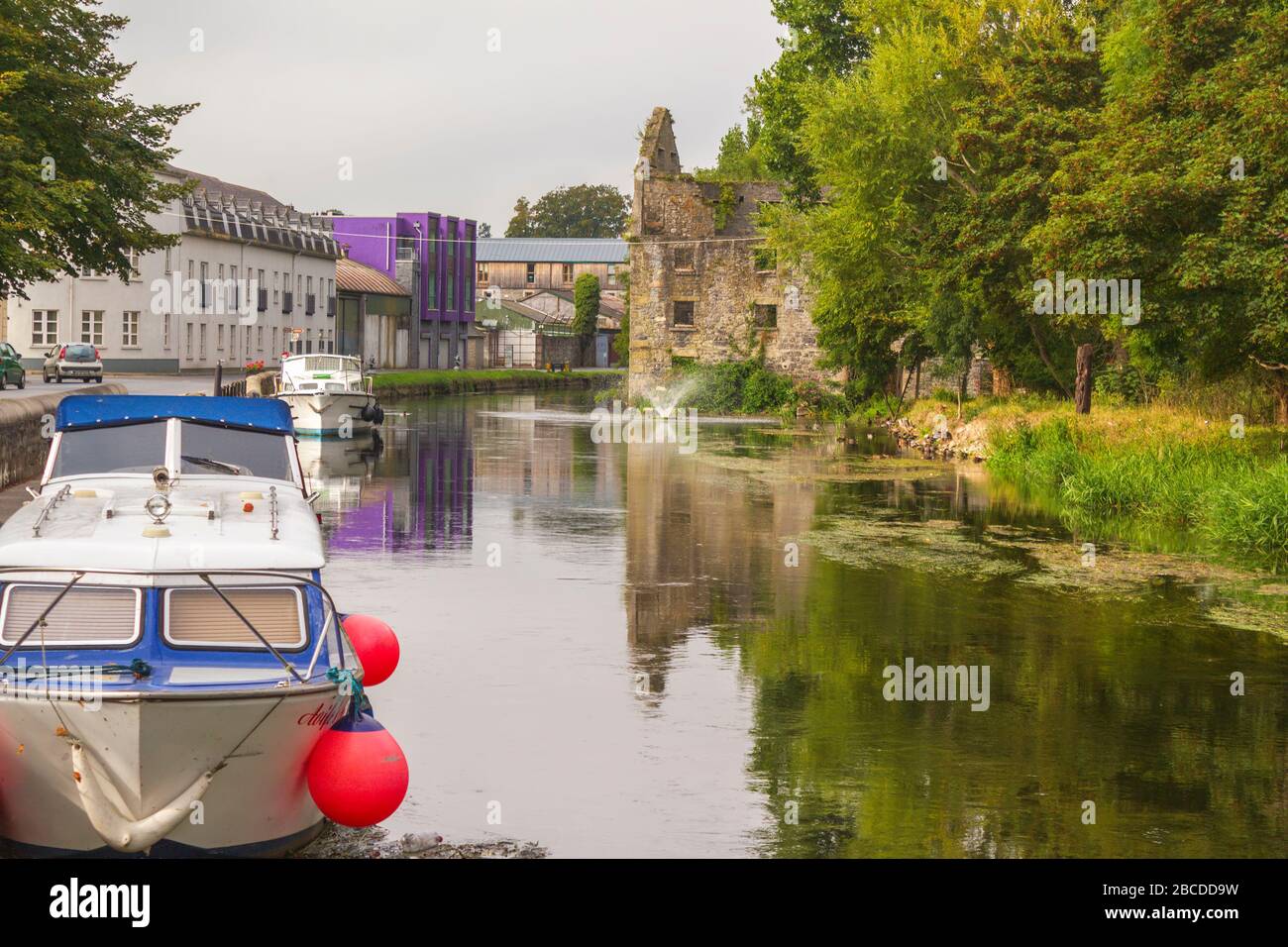 River Barrow in Bagenalstown, County Carlow, Ireland Stock Photo - Alamy
