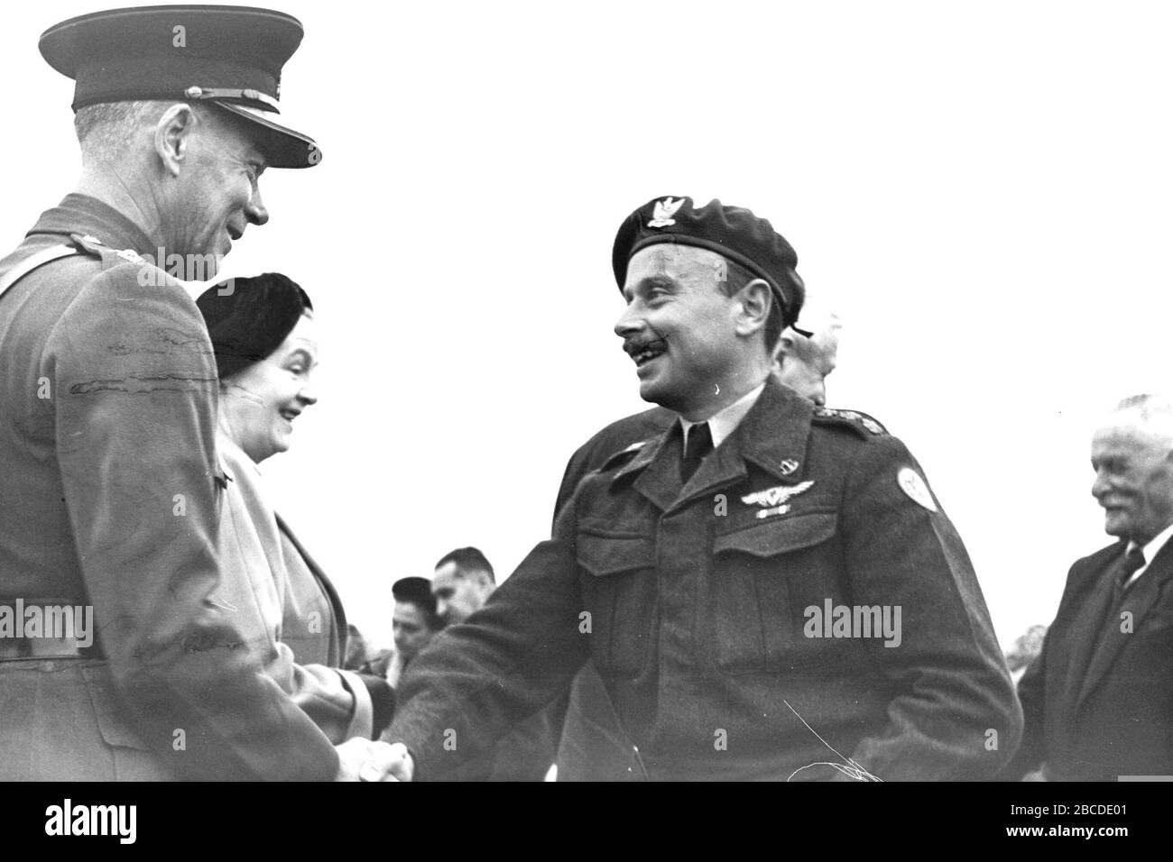 Hands planting british tree hi-res stock photography and images - Alamy
