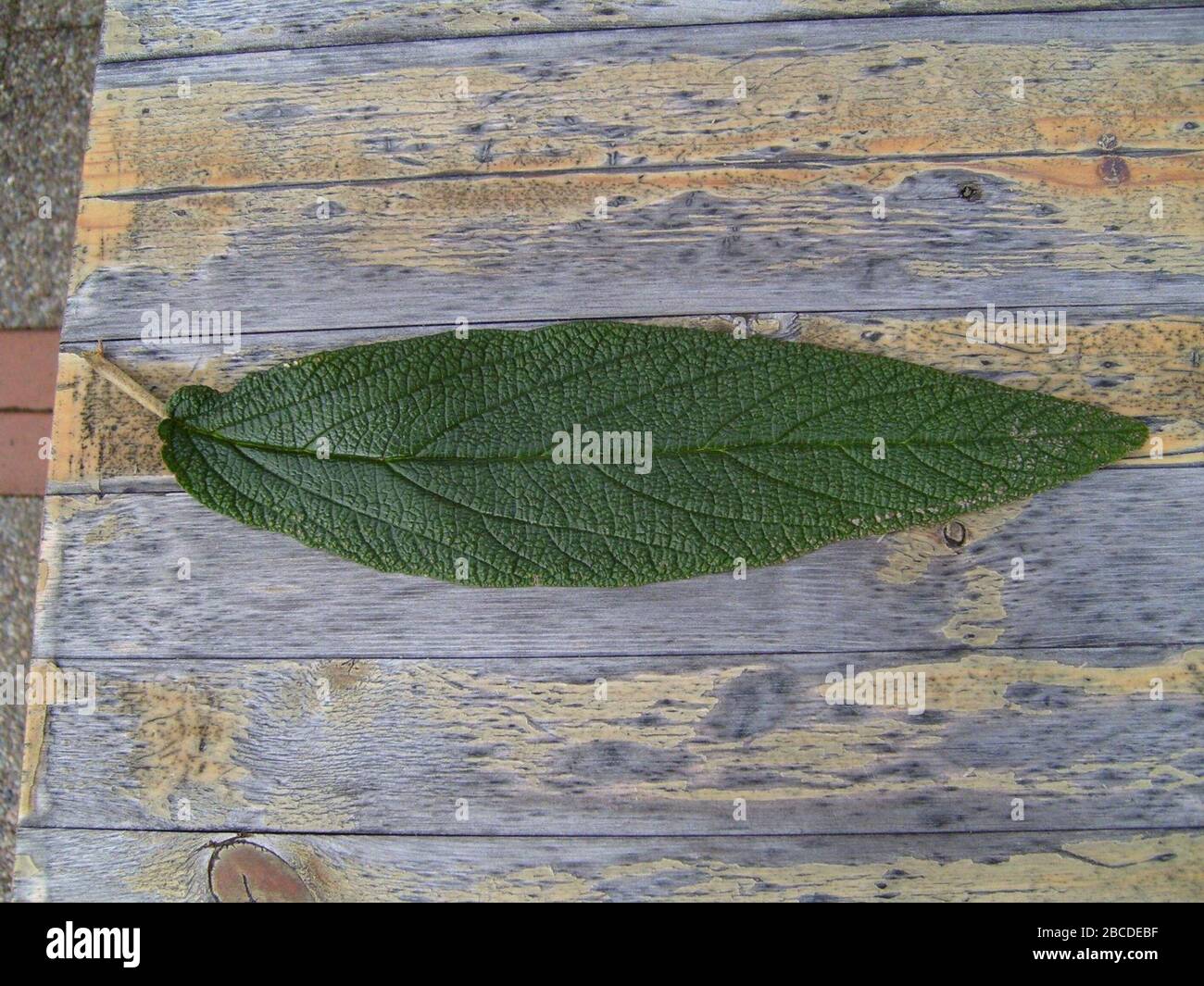 High resolution image hi-res stock photography and images - Alamy