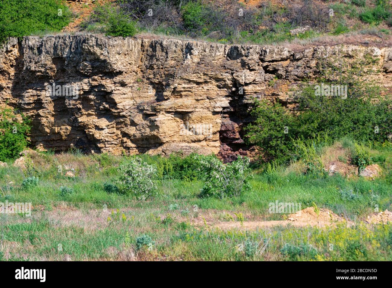 A stratigraphic section of Miocene shell limestone in south of Russia ...