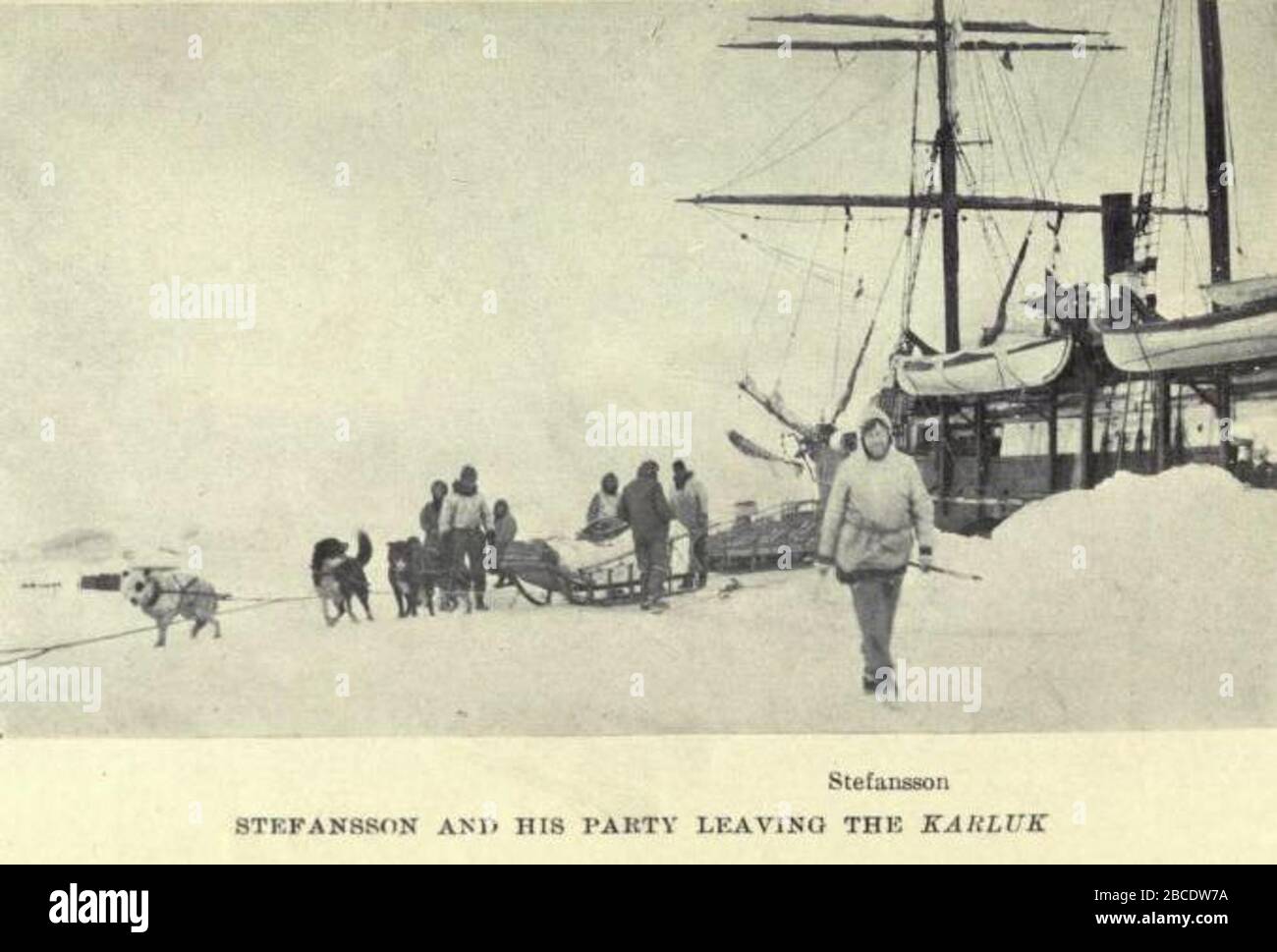 Robert Bartlett High Resolution Stock Photography and Images - Alamy