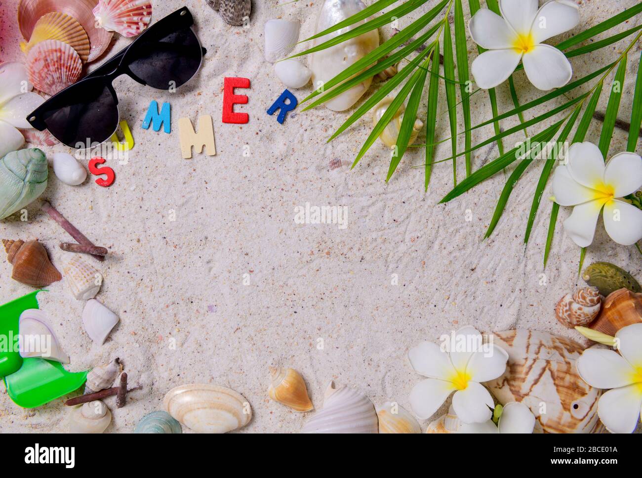 colorful summer text with Shells and plumeria flowers on sand ...