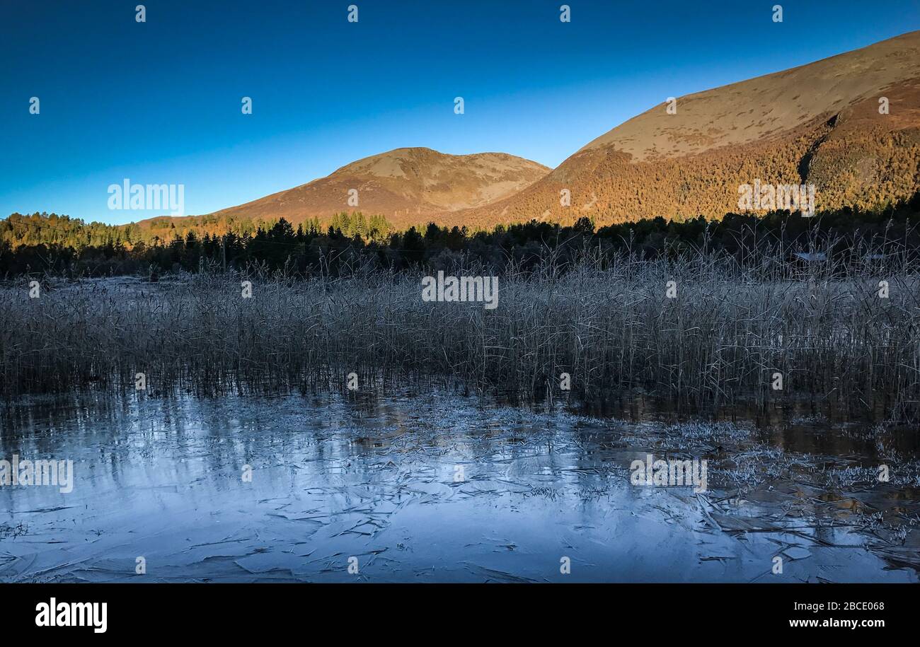 Frozen lakeshore hi-res stock photography and images - Alamy