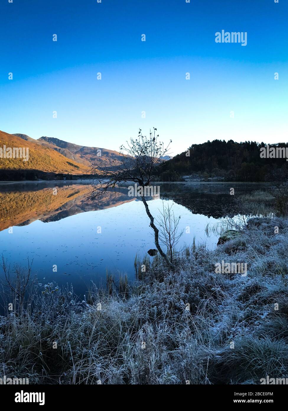 Luriking hi-res stock photography and images - Alamy