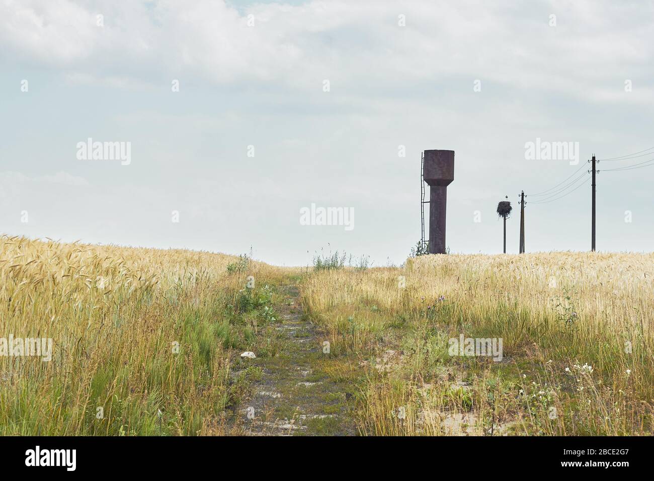 Rural pathway hi-res stock photography and images - Alamy