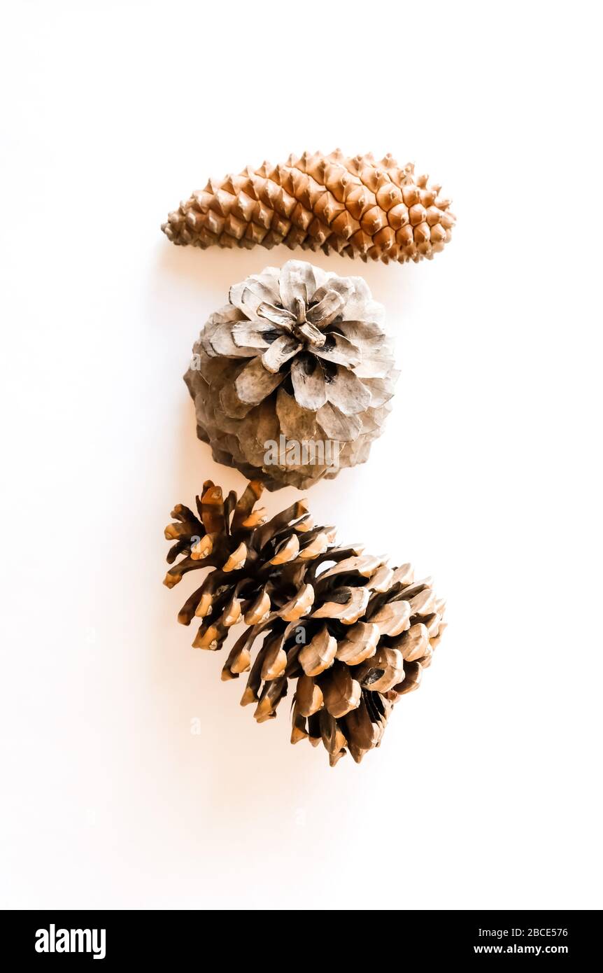 Pine cones background Stock Photo - Alamy