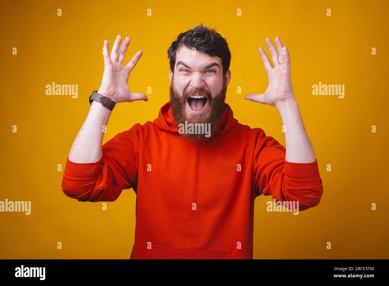 Photo of a young bearded angry man is screaming at the camera on yellow ...