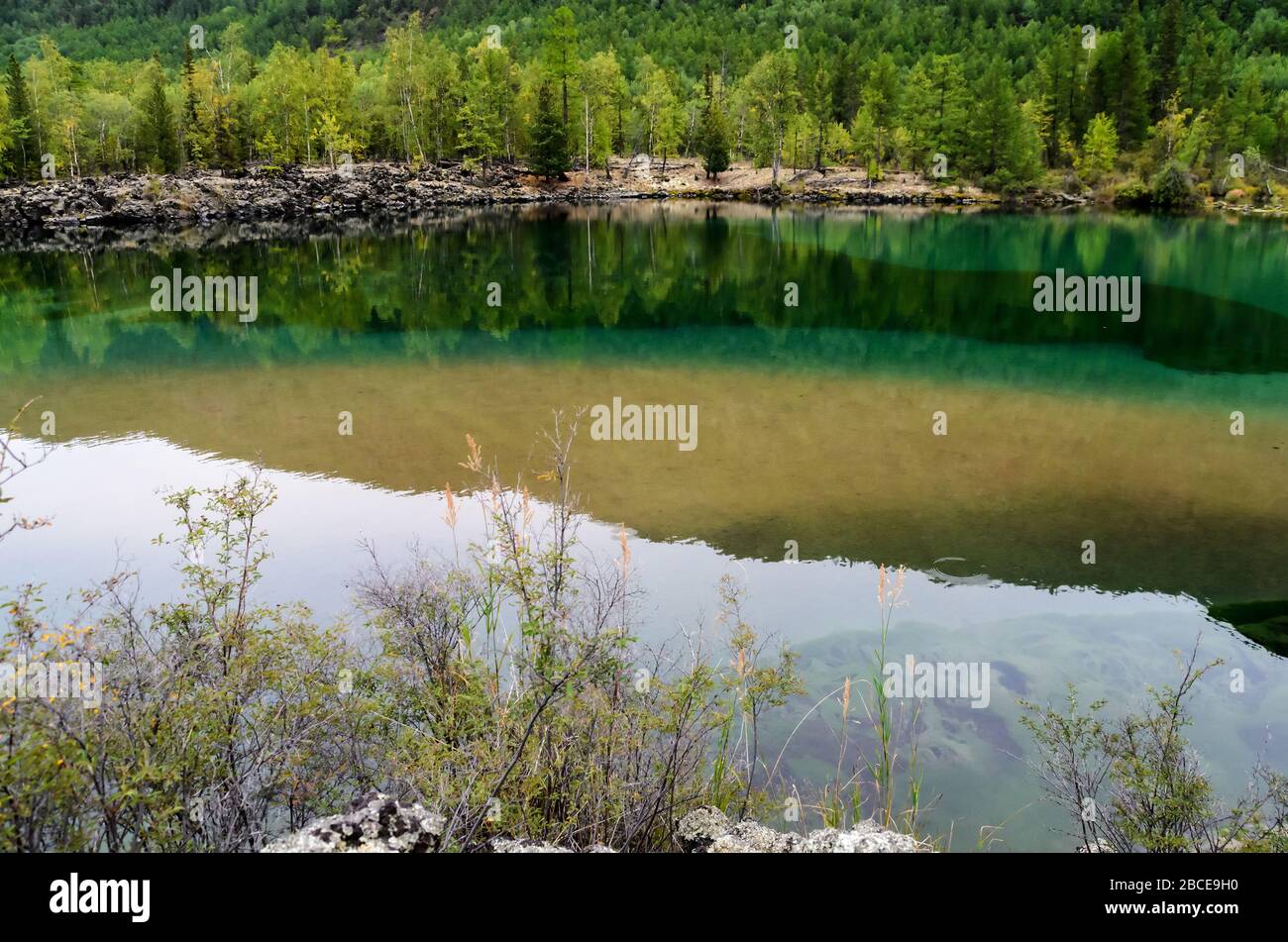Small forest lake with greenish water in the autumn forest, lava lake ...
