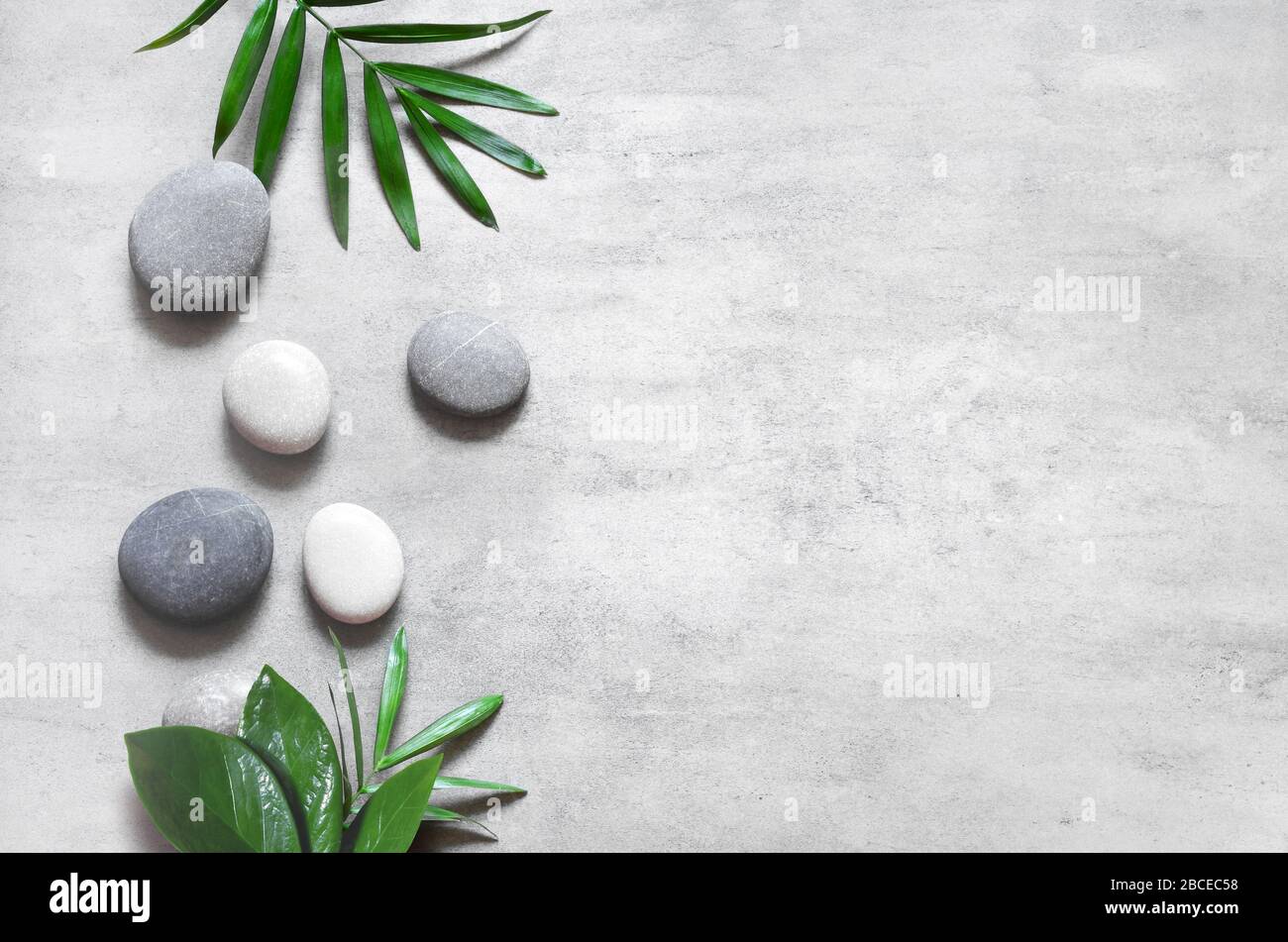 Grey spa background, spa concept, palm leaves and grey stones, top view ...