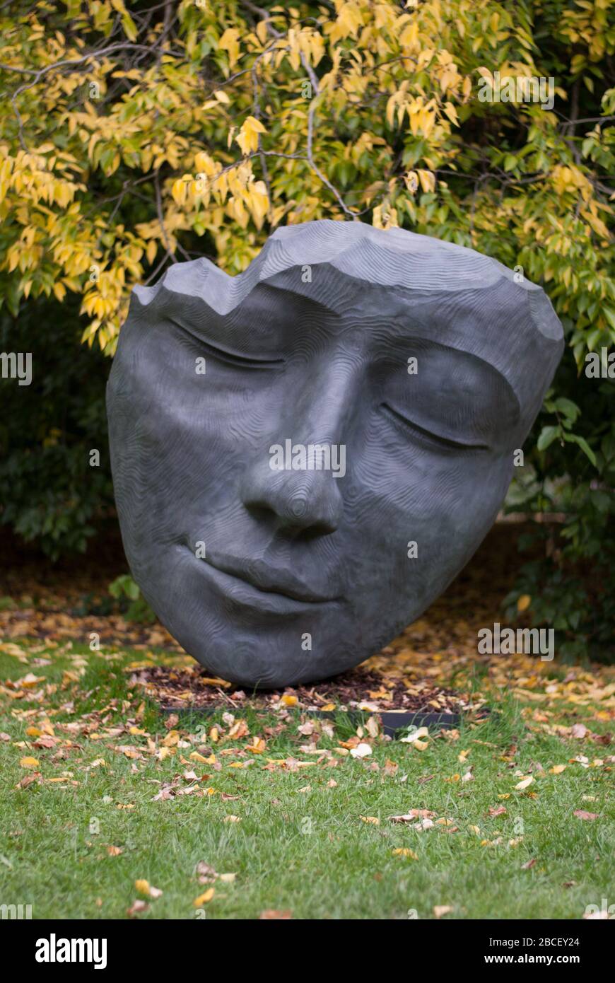 The Fallen Deodar Sculpture by Jilly Sutton Sand Blasted Bronze Sculpt ...