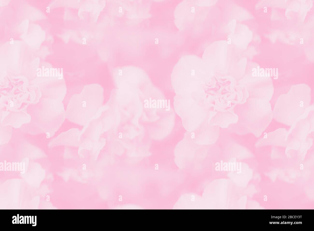 Pale pink abstract background. Floral gradient background, delicate ...