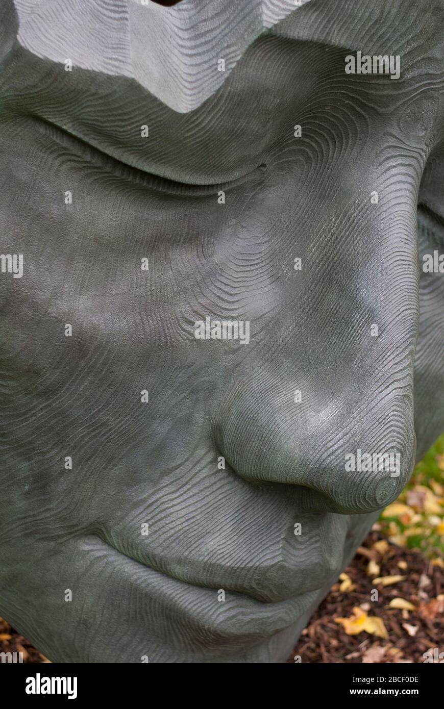 The Fallen Deodar Sculpture by Jilly Sutton Sand Blasted Bronze Sculpt ...