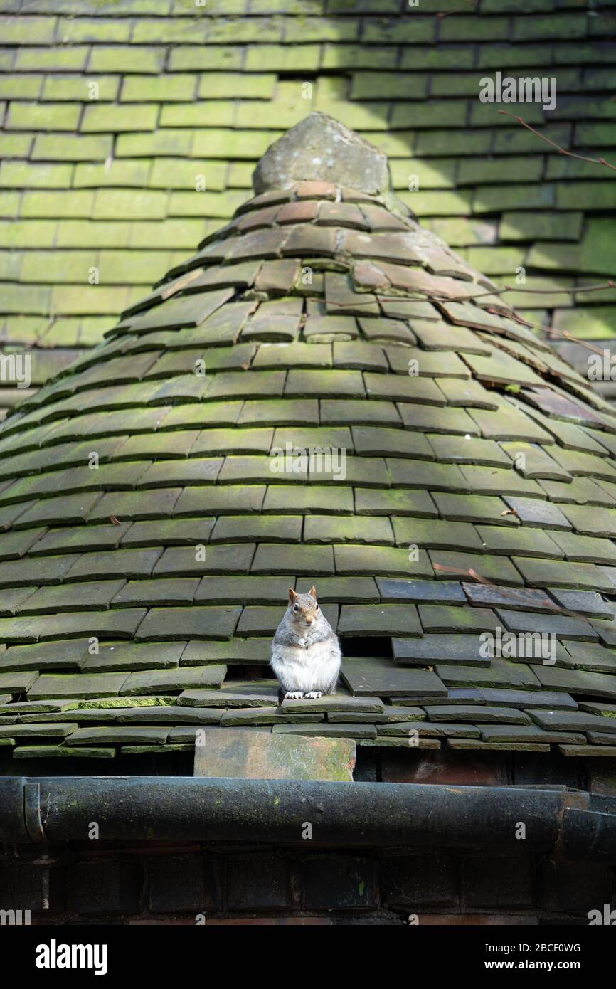 Squatting squatter hi-res stock photography and images - Alamy