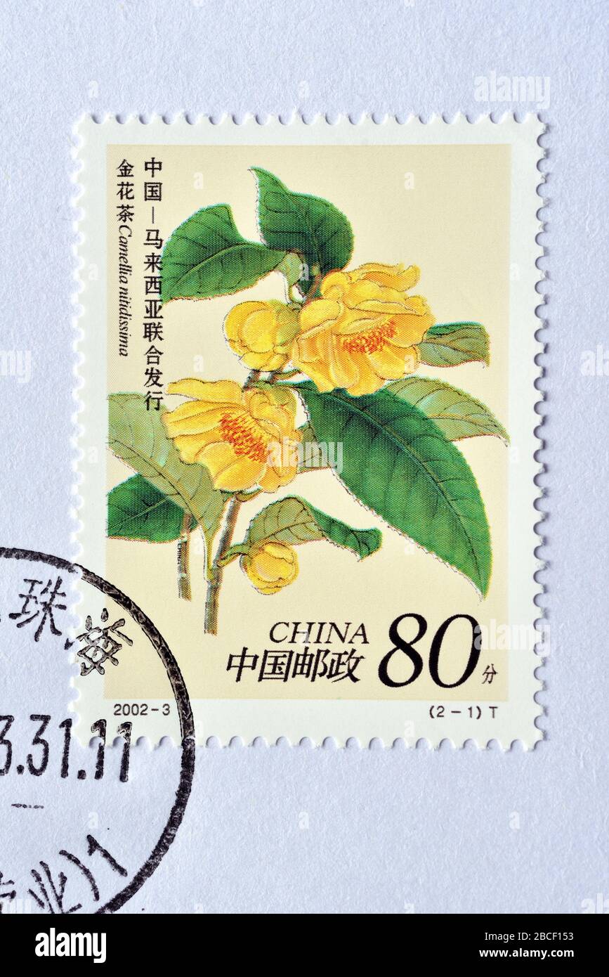 CHINA - CIRCA 2002: A stamps printed in China shows Rare Flowers ...