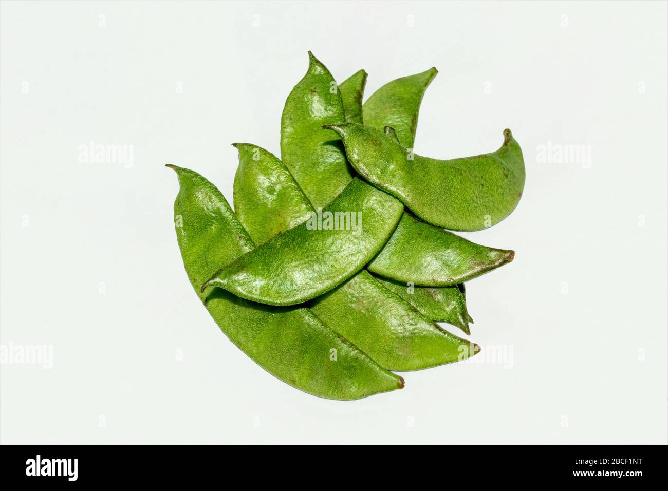 Jack Beans High Resolution Stock Photography and Images - Alamy