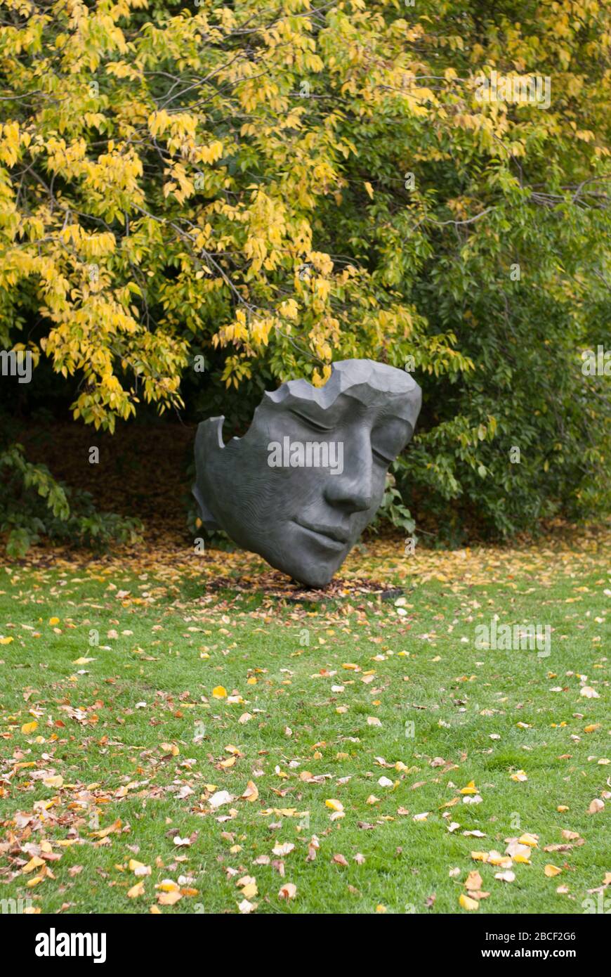 The Fallen Deodar Sculpture by Jilly Sutton Sand Blasted Bronze Sculpt ...