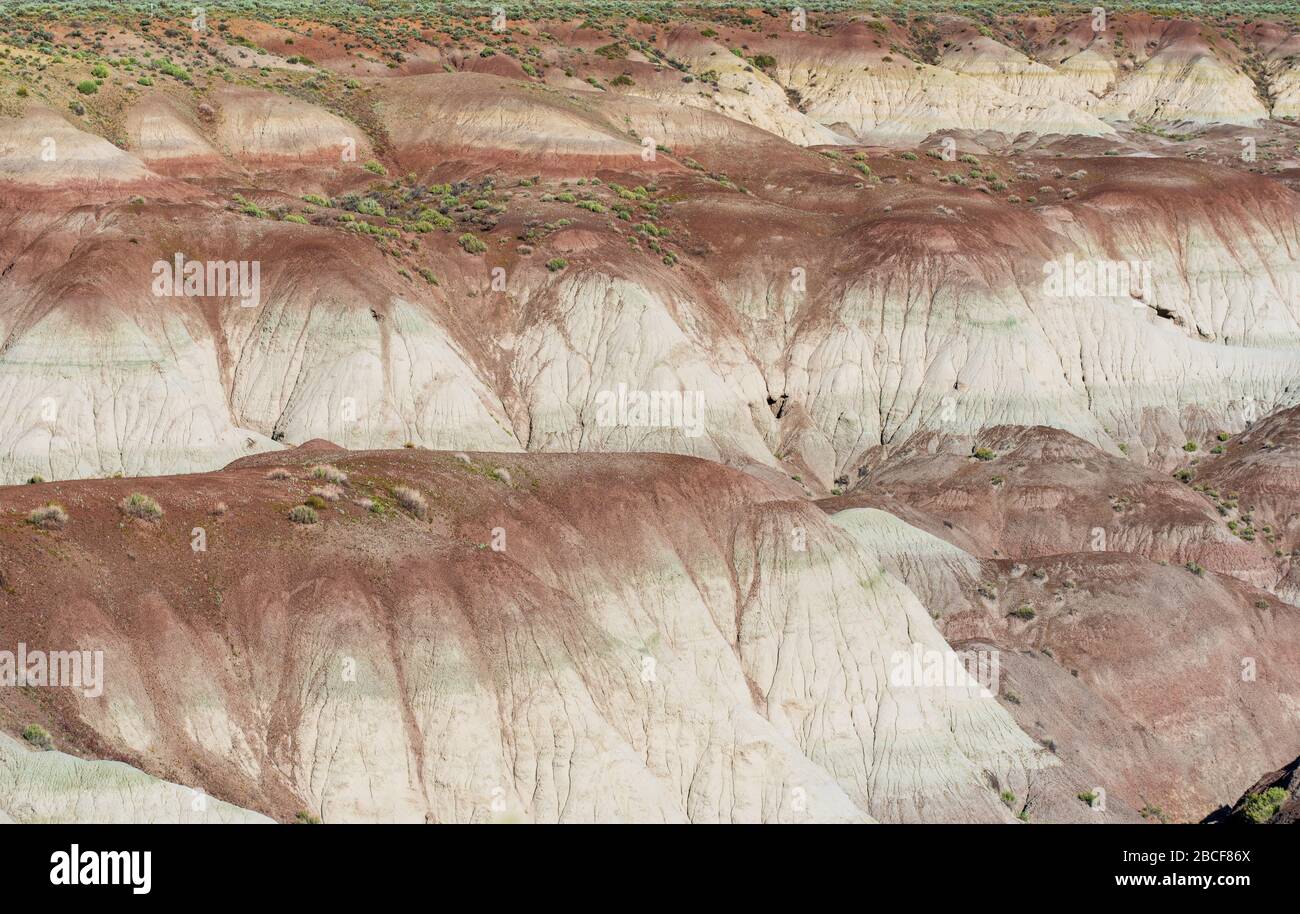 Landscape of banded hills at Angel Peak Wilderness in New Mexico Stock ...