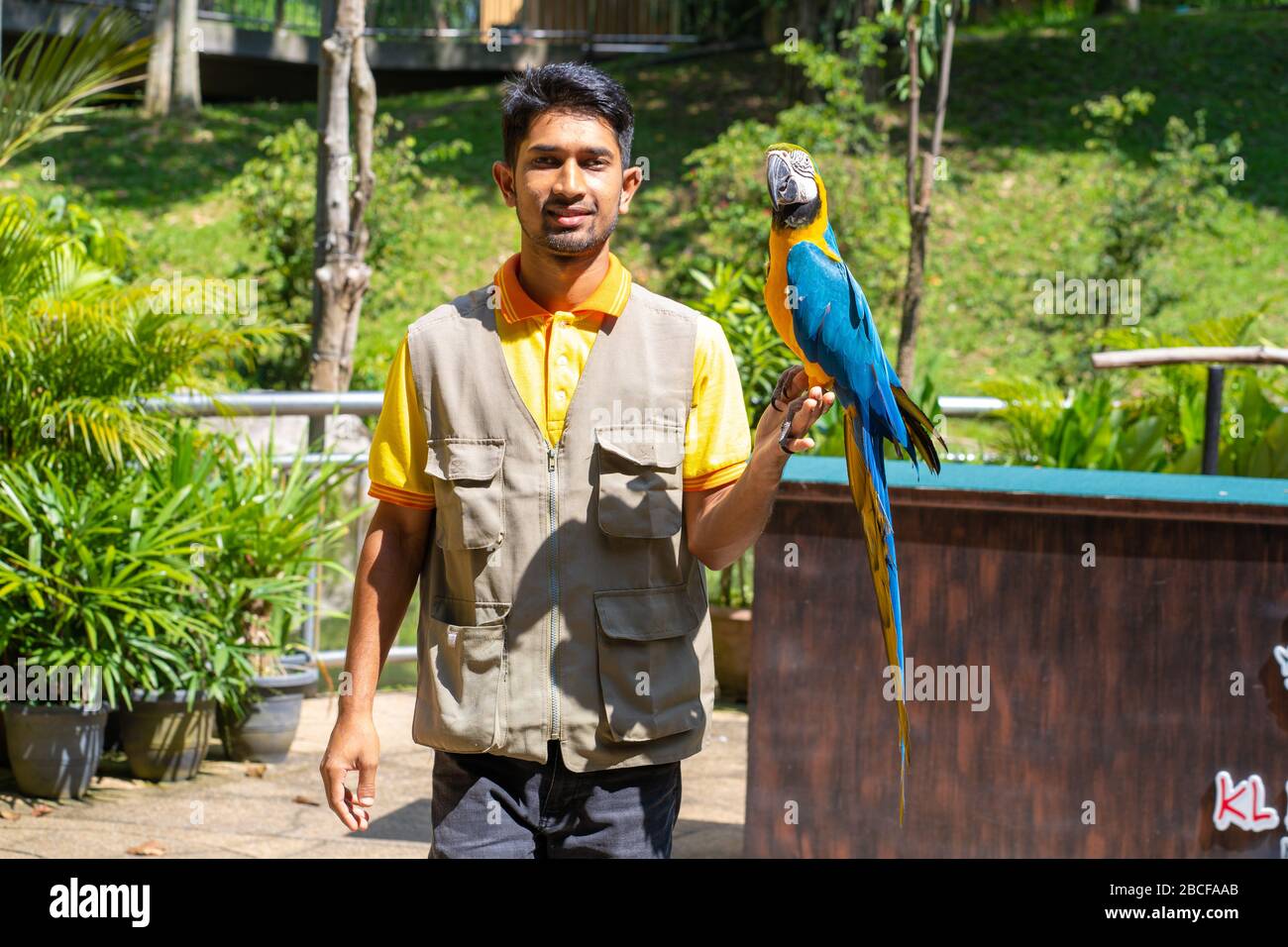 A show with birds in a bird park. A trainer with parrots Stock Photo ...