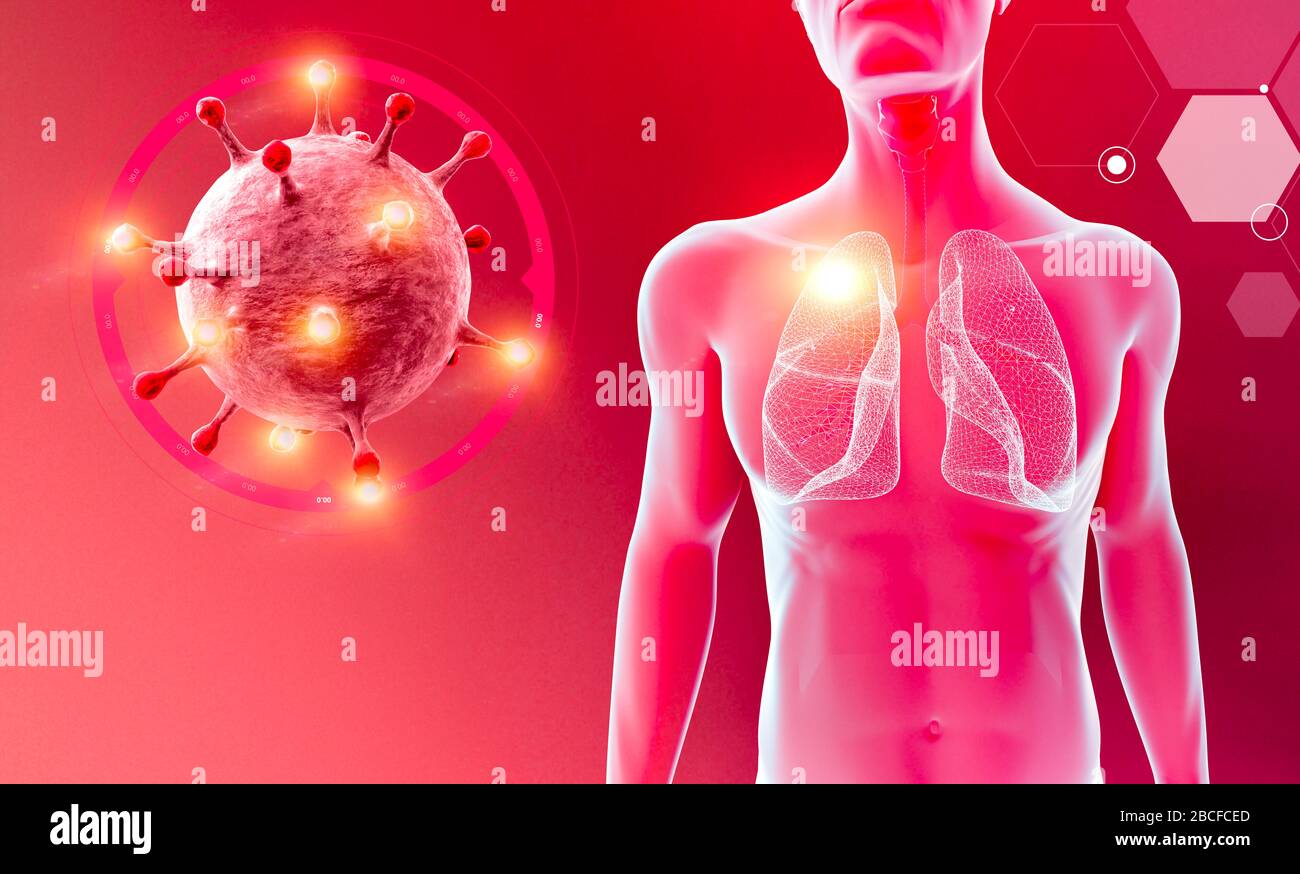 Human body x-ray view of lungs and trachea, coronavirus. Virus that ...