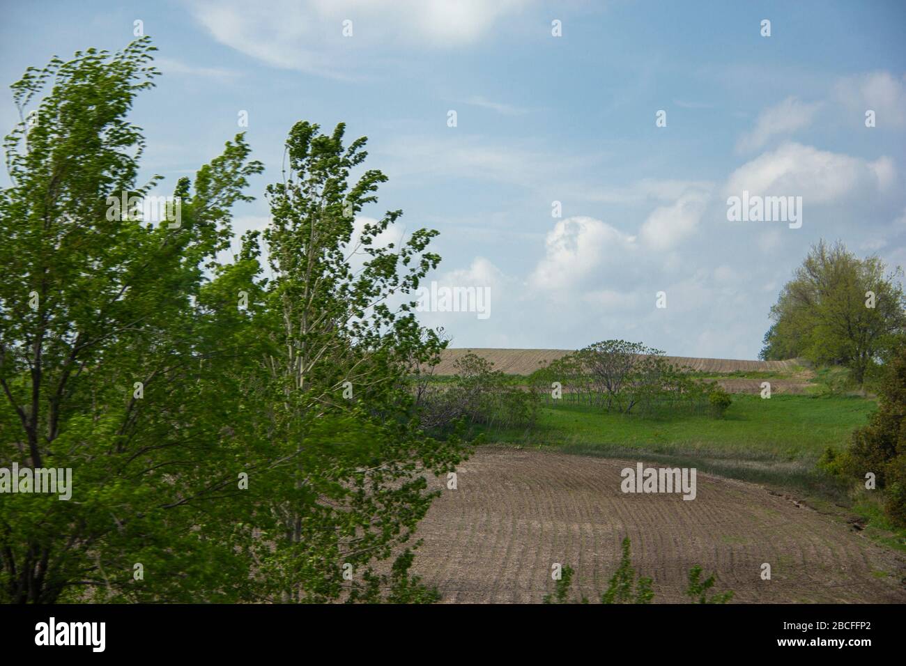Panorama rows green crops in hi-res stock photography and images - Alamy