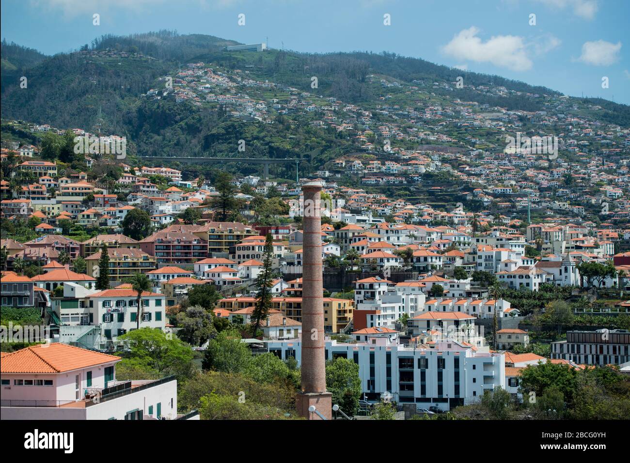 the city centre of Funchal at night on the Island Madeira of Portugal ...