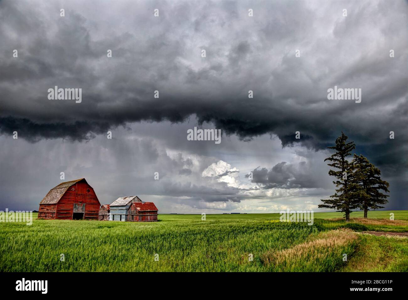 Saskatchewan Summer