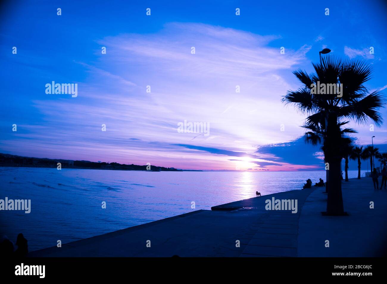 Beautiful sunset on the beach with palm trees. No people Stock Photo ...