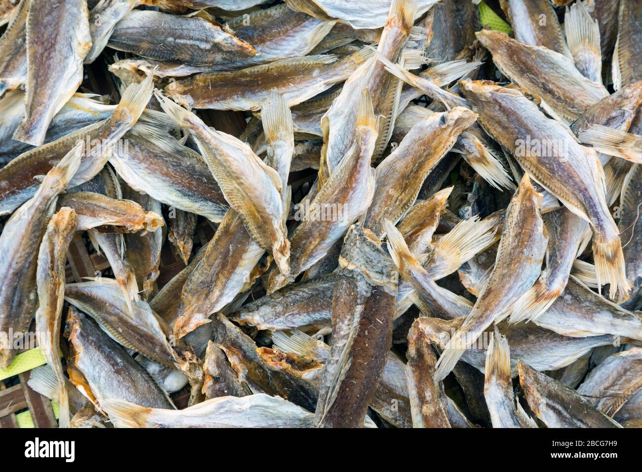 Cheung Chau island near Hong Kong, China. Dried fish for sale Stock ...