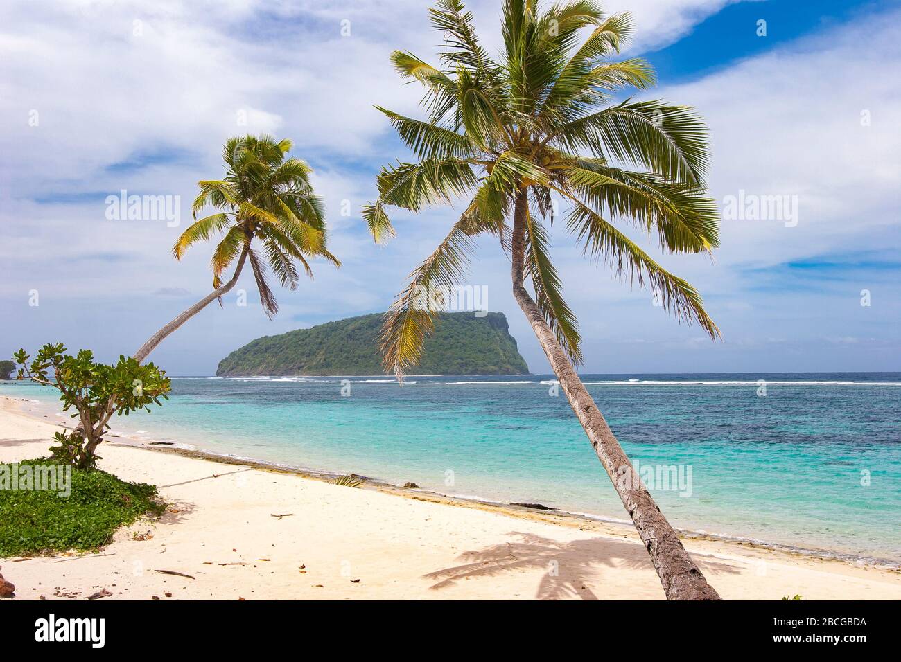 tropical beach with palm trees in the Republich of Samoa, Polynesia ...