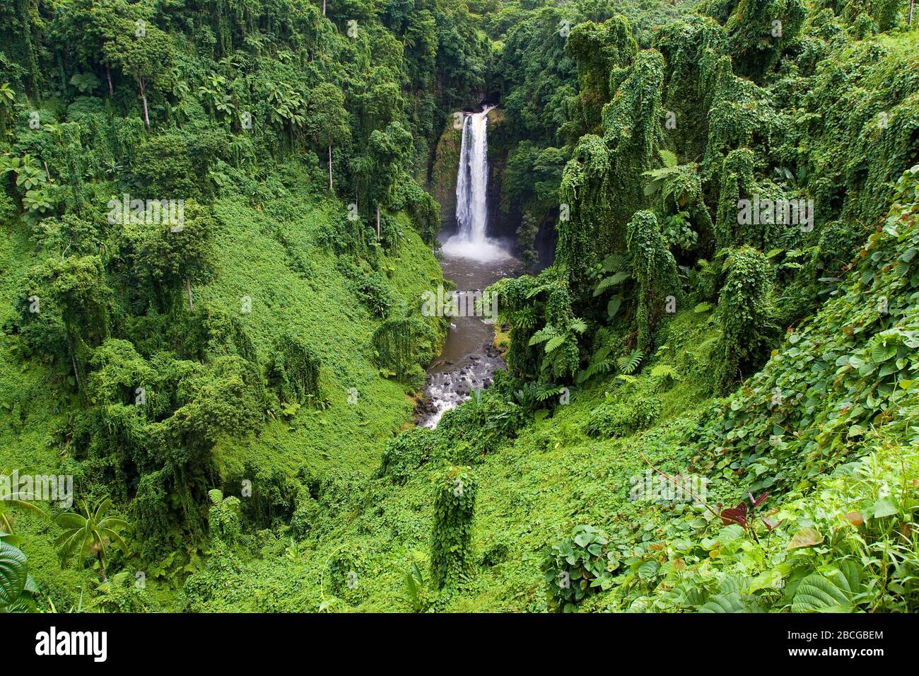 Pjula Waterfall in rainforest of the Republic of Samoa, Polynesia Stock ...