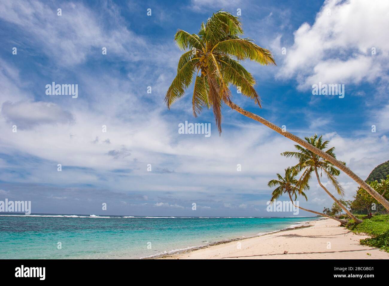tropical beach with palm trees in the Republich of Samoa, Polynesia ...