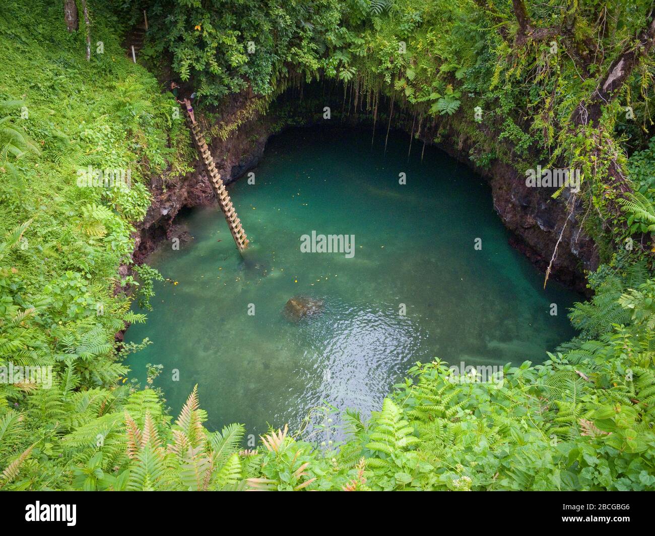 volcanic fresh water pool in the rainforest of the Republik of Samoa ...
