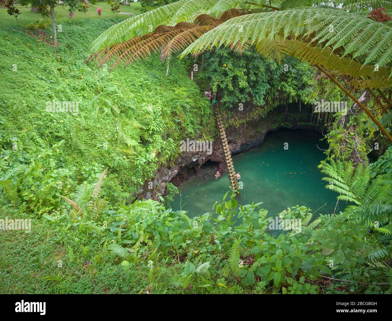 volcanic fresh water pool in the rainforest of the Republik of Samoa ...